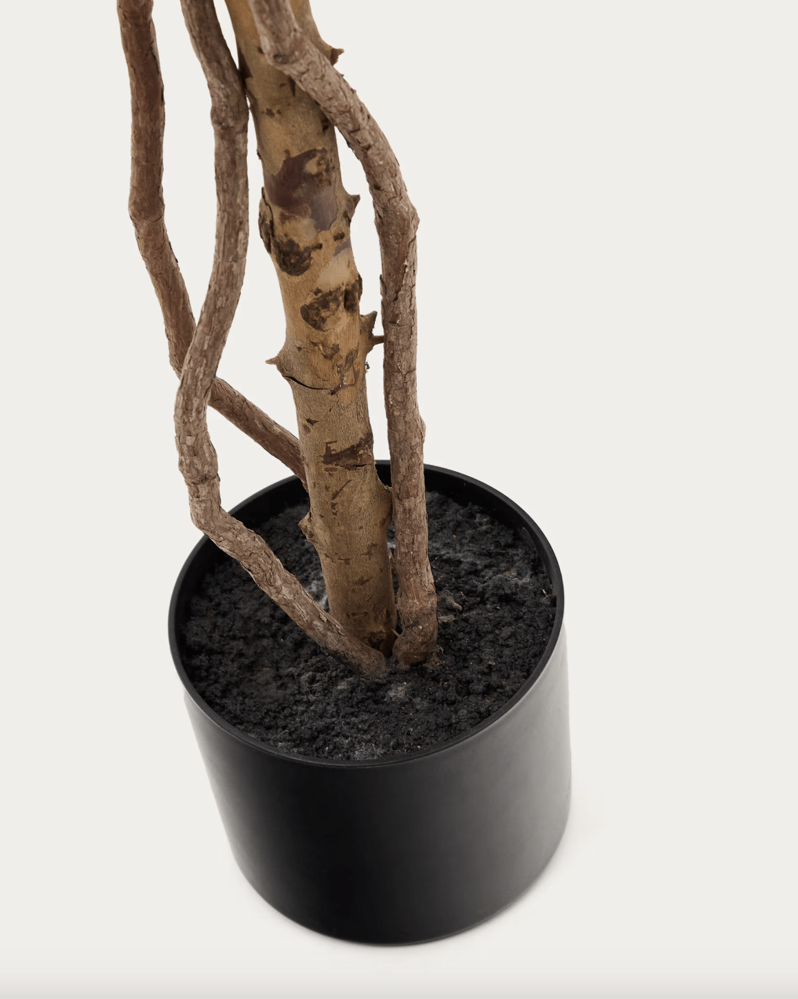 Ficus - Kave Home