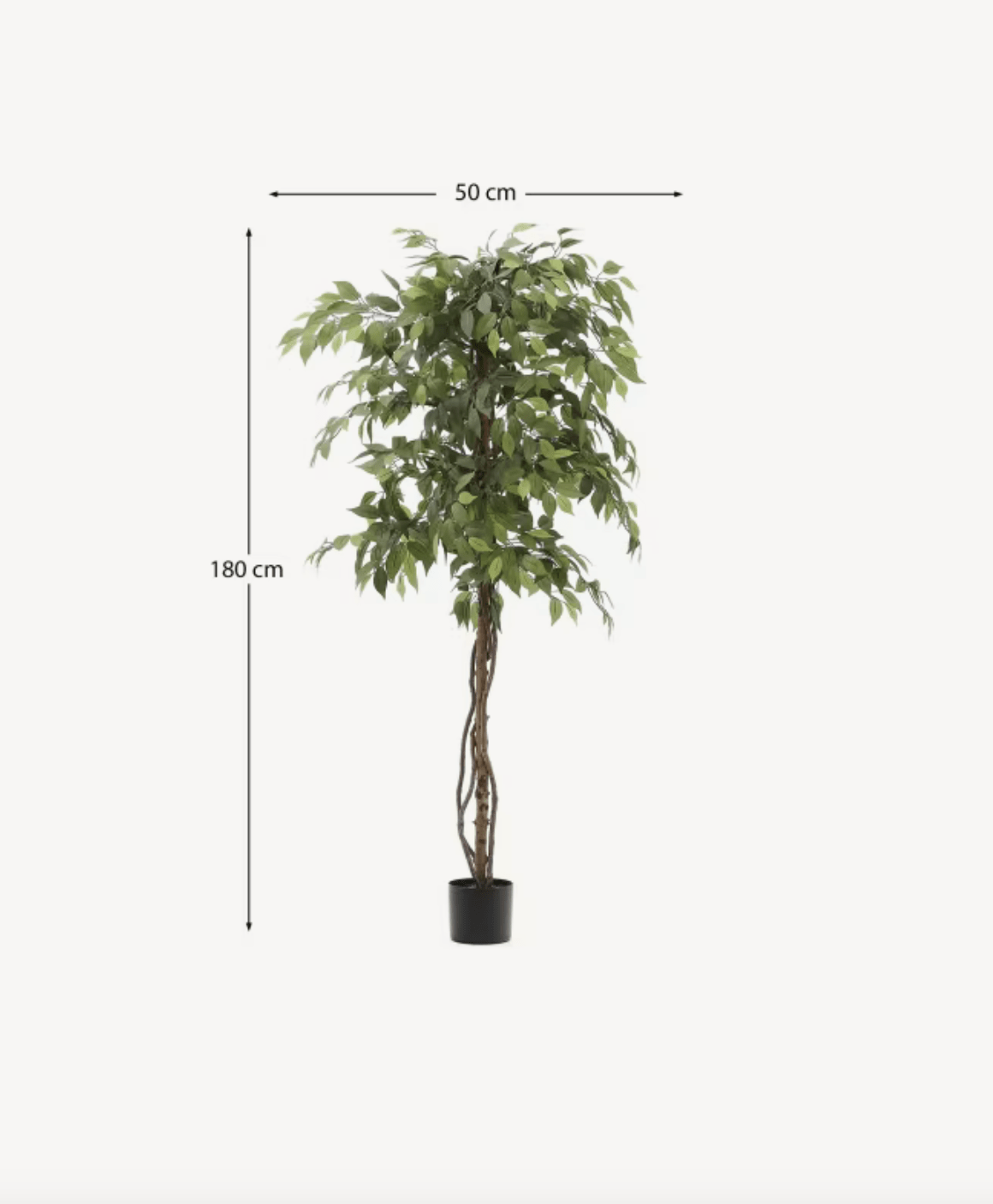 Ficus - Kave Home